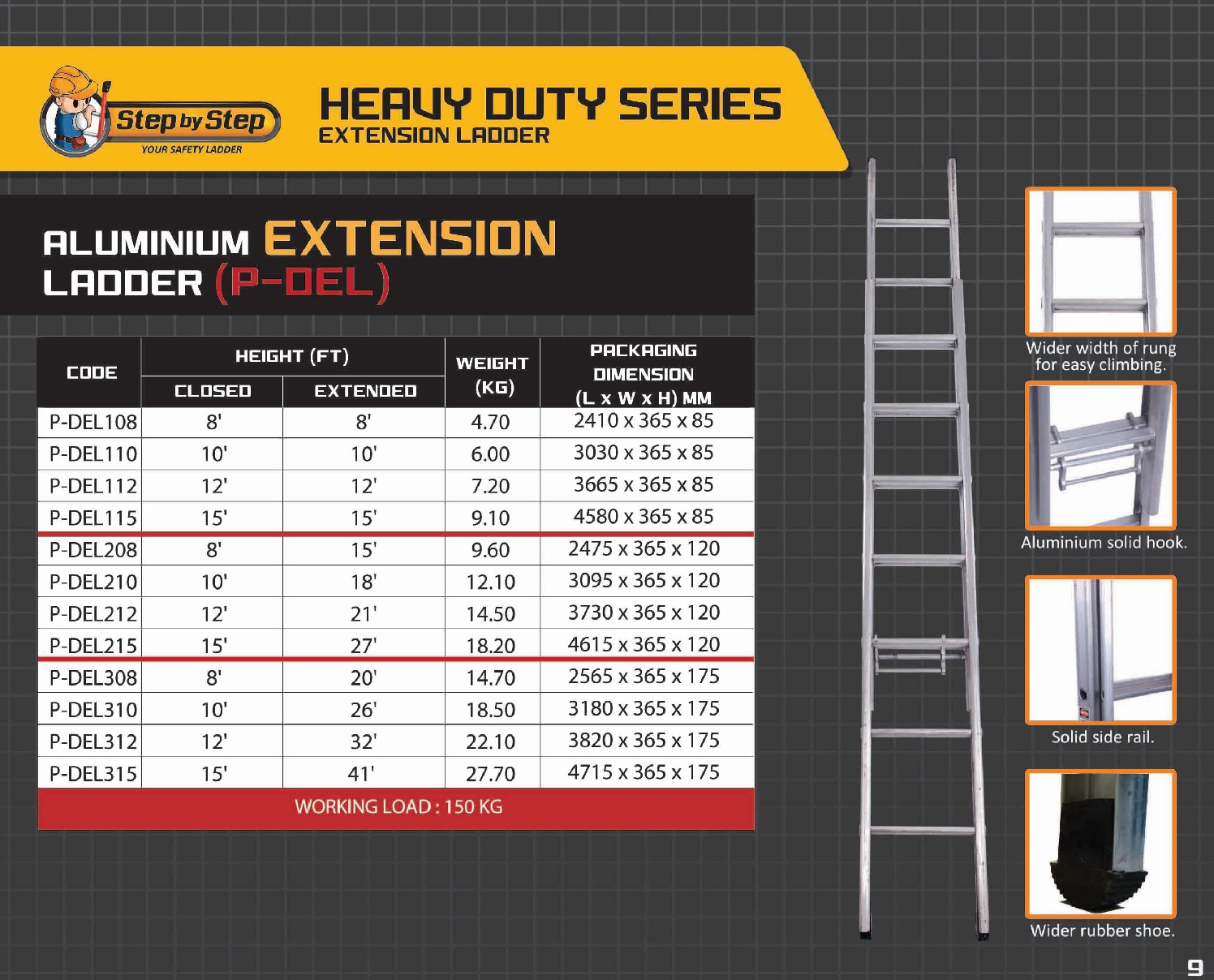 Extension Ladder Malaysia | Extension Ladder Supplier